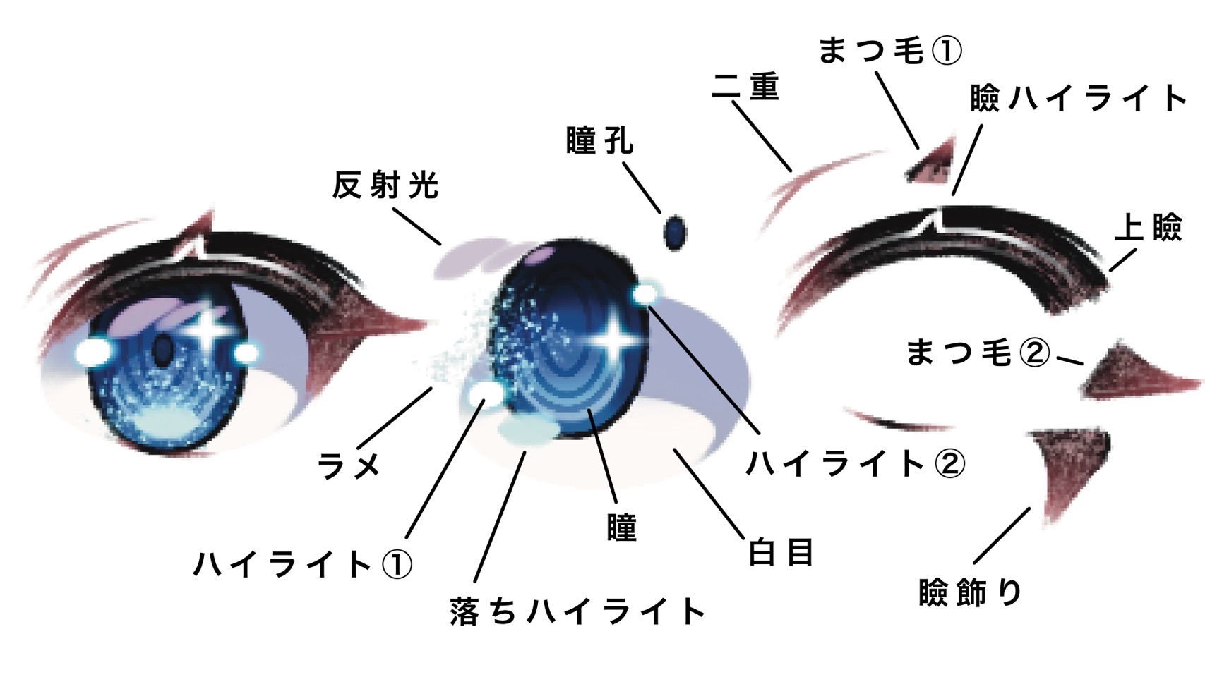 Live2Dイラストのレイヤー分け - レンタル撮影スペース「STUDIO TOKI」