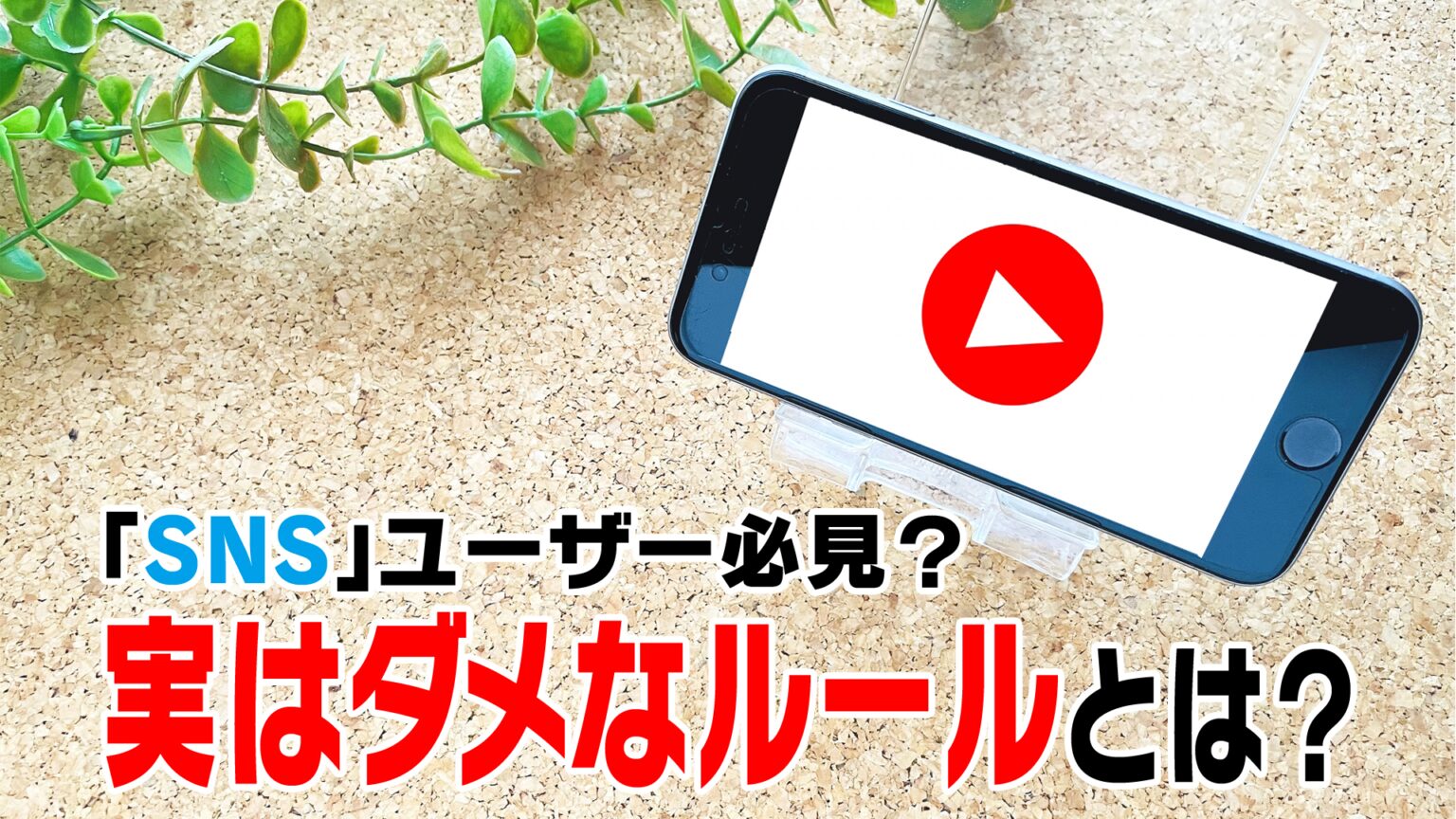 【知らなかった！】SNSに関する意外なルール【YouTube/X(Twitter)】 - レンタル撮影スペース「STUDIO TOKI」